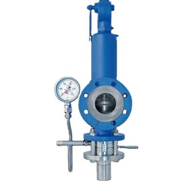 China Bursting Disc Combination Of Safety Valve And Bursting Disc Safety Valve for sale