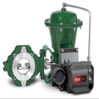 China Easy-E EZ Control Valve Of Valve Body For Throttling Or On/Off Control As Globe Valves for sale