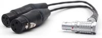 China Straight Input Camera Audio Cable 10 Pin To XLR 3 Pin Female ODM for sale