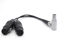 China Straight Input Camera Audio Cable 10 Pin To XLR 3 Pin Female ODM for sale