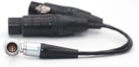 China Straight Input Camera Audio Cable 10 Pin To XLR 3 Pin Female ODM for sale