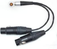 China Straight Input Camera Audio Cable 10 Pin To XLR 3 Pin Female ODM for sale