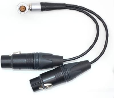 China Straight Input Camera Audio Cable 10 Pin To XLR 3 Pin Female ODM for sale