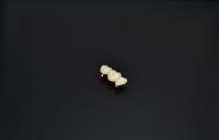 China Flex Dental Implants With Titanium Bar Fixed Dental Implant Bridge for sale