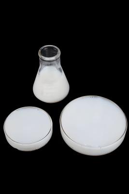 China Quick Cure Styrene Acrylic Polymer Emulsion Liquid For Exterior Walls Custom for sale