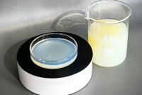 China Low Odor Water Based Acrylic Emulsion Waterproofing Good Crack Bridging Outdoor Wall Use for sale
