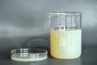 China Strong Adhesion Acrylic Emulsion Waterproofing Alkali Resistant Anti Aging Building Polymer Emulsion for sale