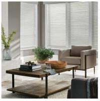 China Modern Cordless Window Blinds with 30% Noise Reduction - Galvanized Finish for Indoor/Outdoor Use for sale