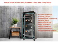 China 6000 Times Home Energy Storage Battery Rack 51.2v 100ah Lifepo4 Battery Pack for sale