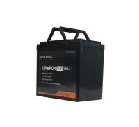 China 12V LiFePO4 Batteries Designed for Commercial and Industrial Applications with High Energy Density and Safety for sale