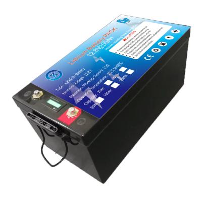 China Lithium Ion Battery 12v 250ah Deep Cycle LiFePO4 Battery for UPS/RV/Solar for sale