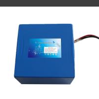 China Custom high quality lifepo4 battery 24v 10ah for sale