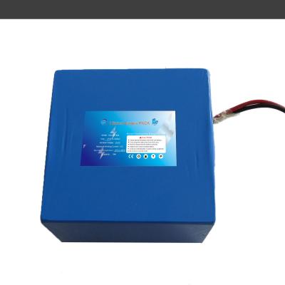 China Custom high quality lifepo4 battery 24v 10ah for sale