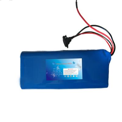 China High quality custom lifepo4 battery packs 24v 15ah for sale