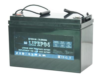 China Portable 24V 30Ah LiFePO4 Lithium Battery with IP67 Rating and 3000+ Cycle Life for sale