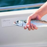 China Woowave Marine EVA Foam Boat Fish Measure Ruler Customized Color and Size for Fishing for sale