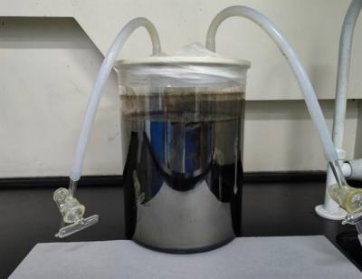 China COA Platinum Black Catalyst , platinised asbestos 1.347 Refractive for sale