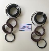 China SCHWING Hydraulic Cylinder Gland Seal Set 80/100 x 40 for DN120 10003421 for sale
