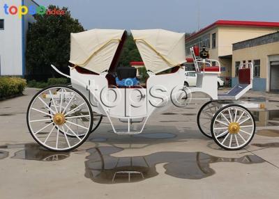 China Sightseeing Cinderella Horse Carriage Steel Resin Texitile Rubber Materials for sale