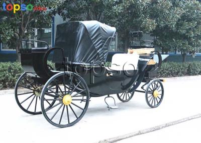 China Small Lightweight Cinderella Horse Carriage 4 Passengers Led Decorative Light for sale
