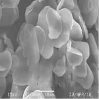 China 200 Punching Boron Nitride Paste Coating for High Temperature for sale