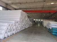 China 10% Elongation Polyester/Polypropylene PET/PP for B2B Sourcing Requirements for sale