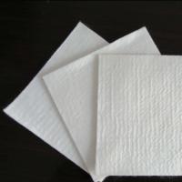 China Eco Friendly PP Staple Fiber Non Woven Geotextile For Coastal Erosion Control for sale