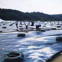 China Low Permeability Black HDPE Geomembrane Liner for Secondary Containment Systems for sale