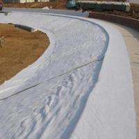 China 200g 250g Needle Punched Polyester Non Woven Geotextile for Retaining Wall Drainage for sale