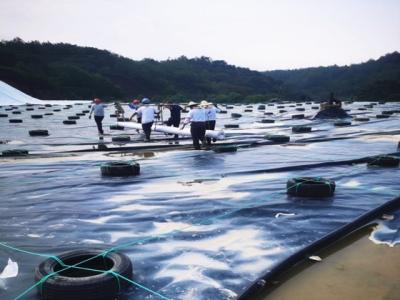 China 1.5mm HDPE Geomembrane Liner With Specialized Chemical Resistance For Mining Heap Leach Pads for sale