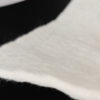China Long Fiber Non Woven Geotextile For Infrastructure And Construction Stability Solutions for sale