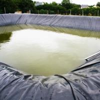 China Durable HDPE Geomembrane Liner Agricultural Farm Pond Liner For Safe Aquaculture Breeding for sale