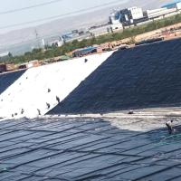 China High-Tensile Anti-Seepage HDPE Geomembrane Liner for Industrial Waste and Tailings Storage for sale