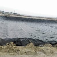 China Waterproof HDPE Geomembrane Pond Liner for Commercial Fish and Shrimp Aquaculture for sale