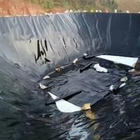 China Puncture Resistant HDPE Geomembrane Liner for Durable Leak Proof Barrier in Agricultural and Industrial Applications for sale
