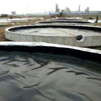China Puncture Resistant HDPE Geomembrane Liner for Durable Leak Proof Barrier in Agricultural and Industrial Applications for sale