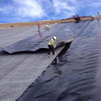 China Puncture Resistant HDPE Geomembrane Liner for Durable Leak Proof Barrier in Agricultural and Industrial Applications for sale