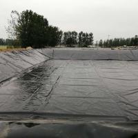 China Gas Tight HDPE Geomembrane Liner for Agricultural Biogas Digester Cover for sale