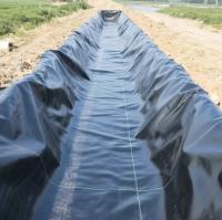 China Irrigation Canal Lining HDPE Geomembrane Liner For Water Conservancy Channels for sale
