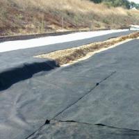 China Black Non Woven Geotextile Weed Barrier Fabric For Orchard And Garden Pathways for sale
