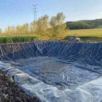 China Black HDPE Geomembrane Liner for Saltwater Shrimp and Fish Ponds for sale