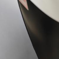 China Black HDPE Geomembrane Liner for Saltwater Shrimp and Fish Ponds for sale