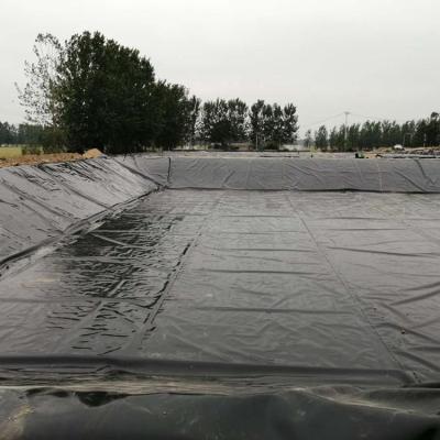 China Black HDPE Geomembrane Liner for Saltwater Shrimp and Fish Ponds for sale
