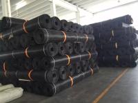 China Unidirection Plastic Geogrid Mesh for sale
