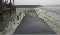 China Polyester Wastewater Sludge Dewatering Bags Coastal Protection for sale