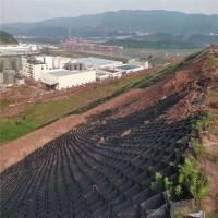 China Plastic Stabilization HDPE Geocell Driveway Geocell Anti Deforming for sale