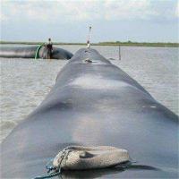 China ISO9001 Geotextile Dewatering Tubes Customized Volume Reduction for sale