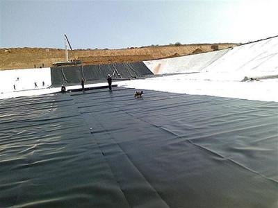 China Factory Direct LDPE Geomembrane 0.2mm-2.0mm Wholesale Large Roll for Commercial Fish Shrimp Bulk Farming Supply for sale