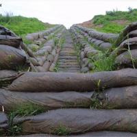 China Soft Geotextile Reinforcement Fabric Ideal for Flood Control River Bank and Costal Engineering Projects Offering Soil Reinforcement for sale