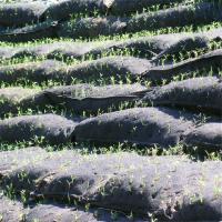 China Environmentally Friendly Geotextile Filter Fabric Soft Strong Fabric Designed To Provide Soil Separation Drainage And Erosion Control Systems for sale